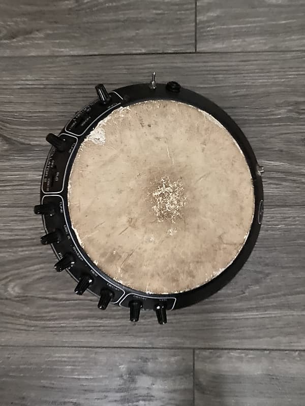 Star Instruments Synare 3 | Reverb