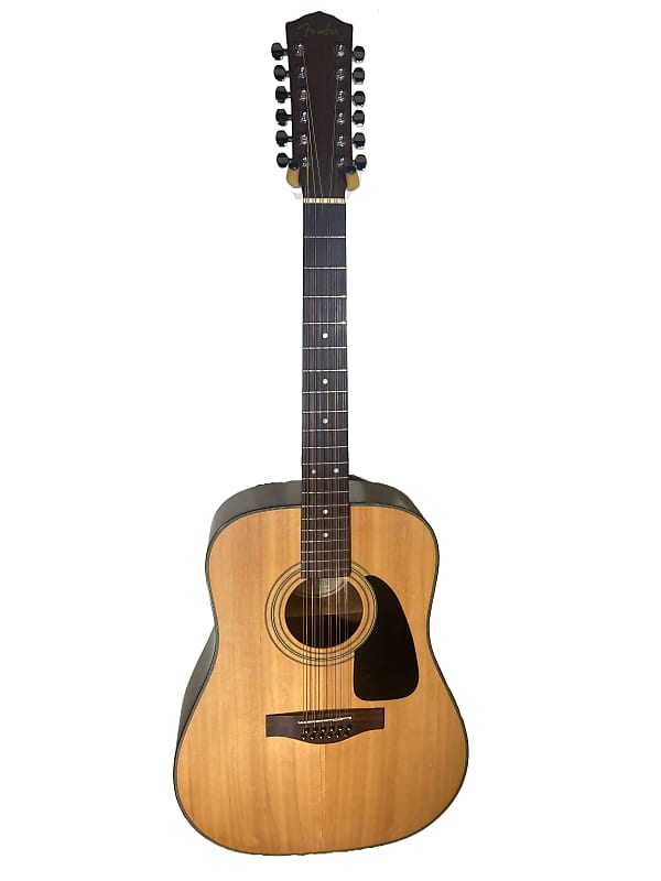 Fender Dreadnought Acoustic Guitar Pro-SetUp (DG-10/12) | Reverb
