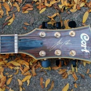 Cort Joe Beck Signature Jazz Box Electric Guitar | Reverb