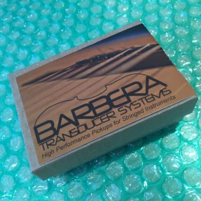 Barbera Soloist Pickup for Flamenco Guitar | Reverb