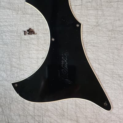 Framus Vintage 1965 Framus Texan 12 String Guitar Pickguard | Reverb