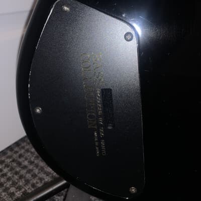 Bass Collection SB301 (SGC Nanyo model) Made in Japan with | Reverb