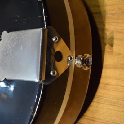 The Dayton Style B mandolin 1910s - black | Reverb Deutschland