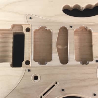 Unfinished 6 string, Jem style Alder guitar body, rear route, | Reverb