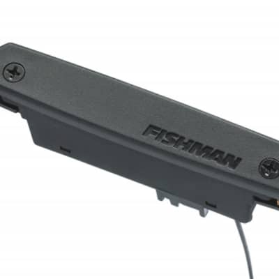 Fishman Rare Earth Single Coil Acoustic Guitar Sound Hole | Reverb