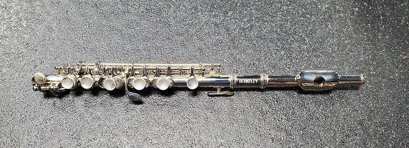 Berkeley P101 | Reverb