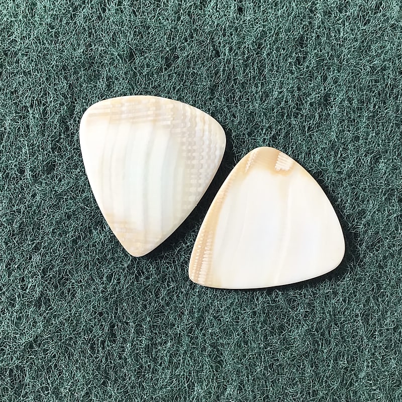 Seashell guitar pick/ pack of two, 1.5mm thick, classic | Reverb