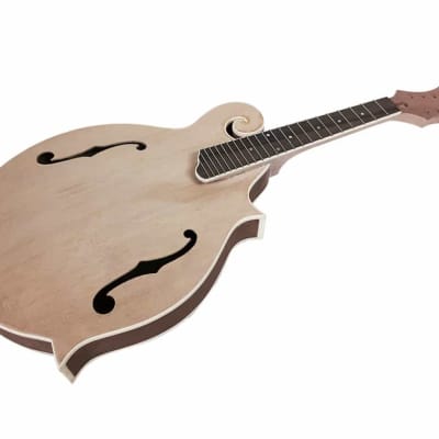 Solo MFK-1 Mandolin Kit With Sapele Body & Spruce Top | Reverb