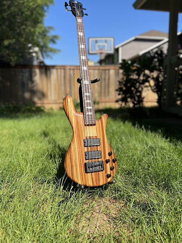 Spector Rebop 4DLX (Zebop) 2014 - Gloss Zebra Wood Top | Reverb