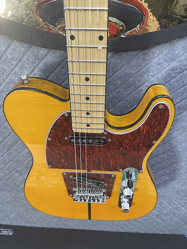 Harley Benton TE-80 NT Deluxe SkunkWerx USA The Better | Reverb