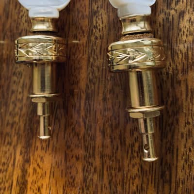 Waverly Banjo Hand Engraved Planetary Tuning Pegs 2023 - Gold | Reverb