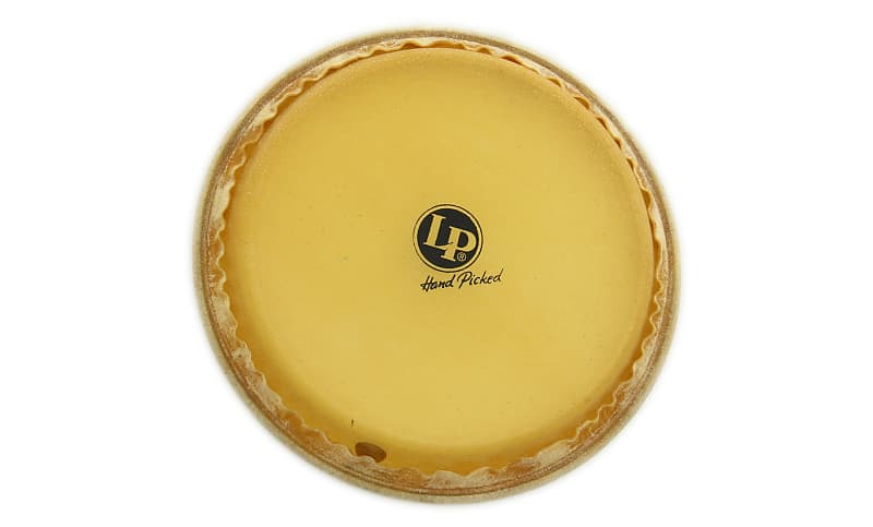 LP LP266B Mounted JR Conga Head (Large) | Reverb