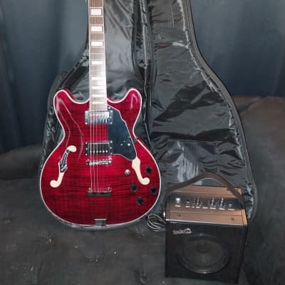 Jay Turser 335 Style Electric Guitar | Reverb