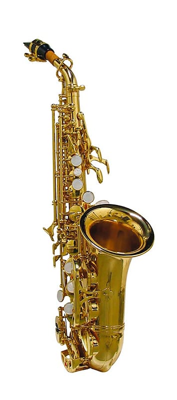 soprano sax, yellow brass lacquer, Pisoni pads, with soft | Reverb UK