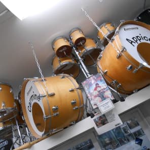 Carmine Appice's Rod Stewart, Realistic Rock, Ludwig 76 | Reverb