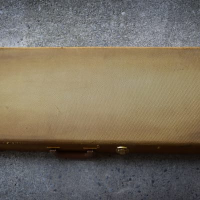 RIVER RELICS Heavy Relic Lacquered Tweed Hardshell Guitar | Reverb