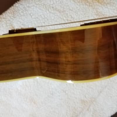 Bushman Jenny Concert Bu7-C 2005 Natural | Reverb