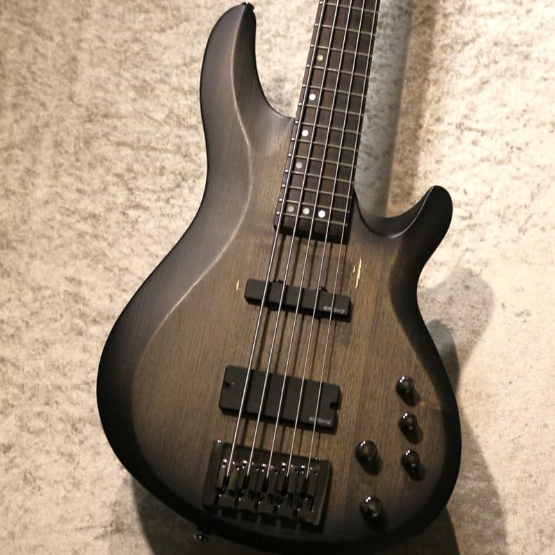 Schecter Diamond Series C-5 Custom[EMG Pickup] | Reverb