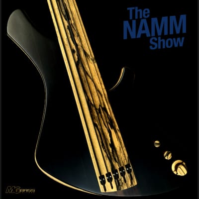 MGbass Infinity Ghost 6 strings 2024 fretless piezo pickup | Reverb