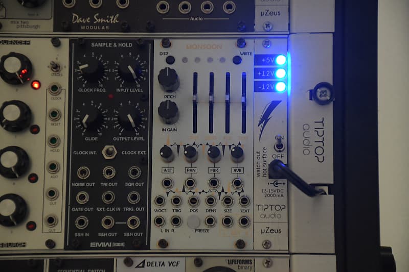 After Later Audio Monsoon (Mutable Instruments Clouds Clone) | Reverb