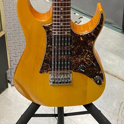 IBANEZ RT (RV) SERIES electric guitars