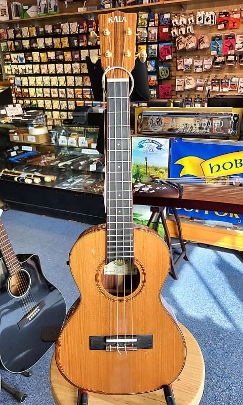 Kala KA-SRT-CTG-E | Reverb