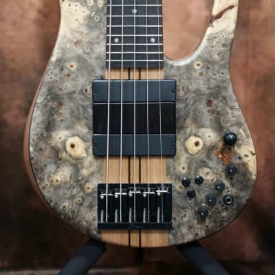 Fodera Matt Garrison Signature Imperial 5 Elite Buckeye burl | Reverb