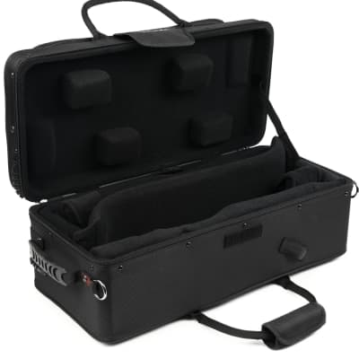 Victory Musical Instruments Triumph Series Student Trumpet - | Reverb