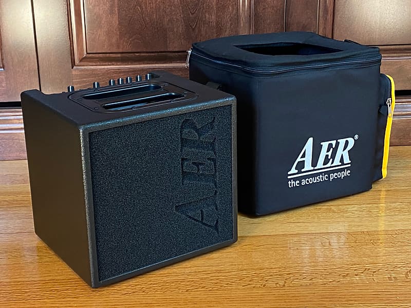 AER Alpha 40 Watt Acoustic Amp with Gig Bag | Reverb