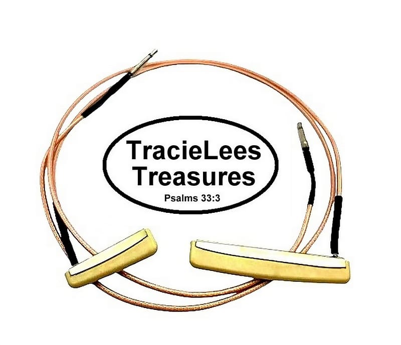 Takamine G Series CP-100D Thinline Dual Split-Saddle Pickup | Reverb