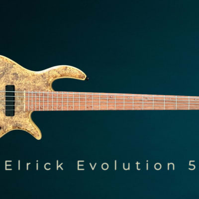 Elrick Basses Evolution Gold 5 - Spalted Maple 2024 - Satin | Reverb