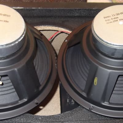 Pair of Stageworks LG-10's W/All New Speakers | Reverb