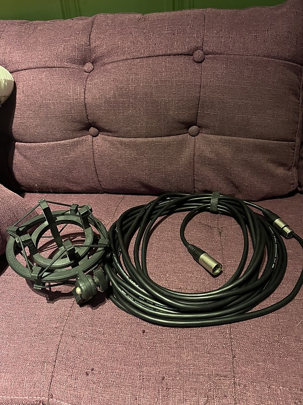 RODE NTK Large Diaphragm Cardioid Tube Condenser Microphone | Reverb