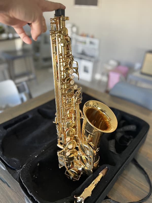 Benjamin Adams AS100 Alto saxophone - Gold | Reverb