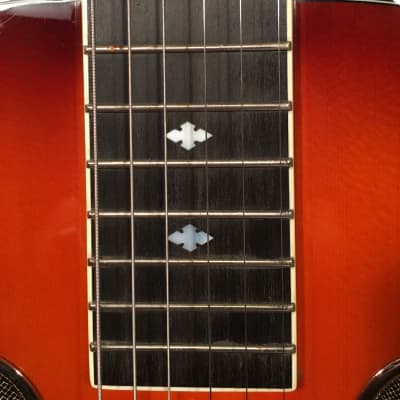 Rogue Classic Spider Resonator Acoustic Guitar | Reverb