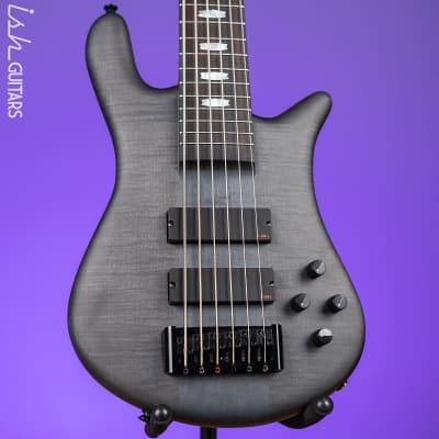 Ritter Jupiter 6 String Bass Frosted Black | Reverb