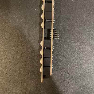 Black Noise Modular Dual Rectifier 2 - Black Panel | Reverb