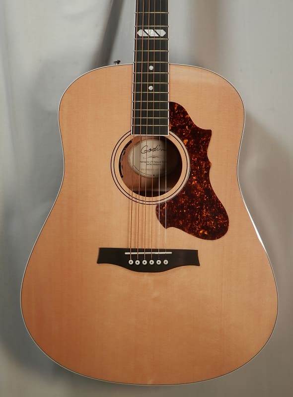 Godin 047925 Metropolis LTD Natural HG EQ with TRIC case | Reverb