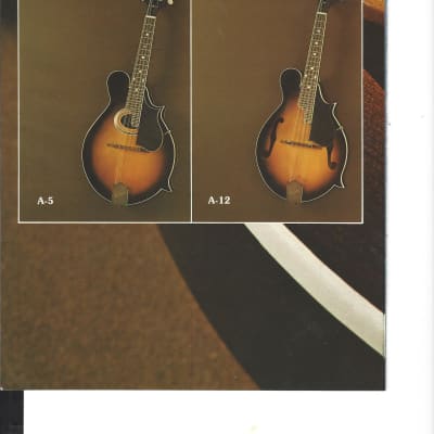 Gibson Mandolin Series Brochure 1975 | Reverb