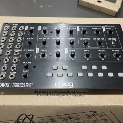 Moog - Mavis Analog Synthesizer | Reverb Canada