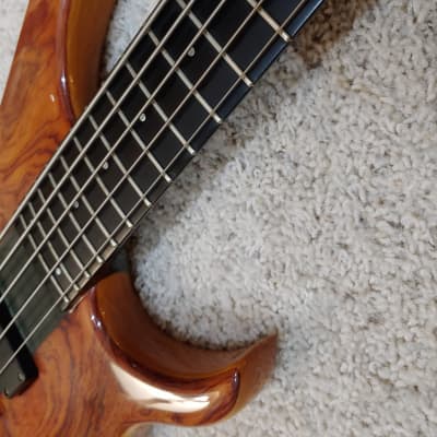 Modulus Quantum 5 TBX 1992 Vintage | Reverb