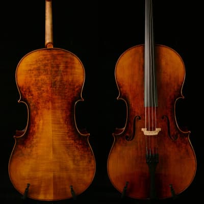 Fine 4/4 Cello Stradivari 1712 Davidov Cello Fantastic Sound | Reverb