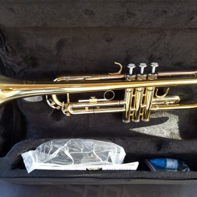 John Packer 051 Lacquer | Reverb