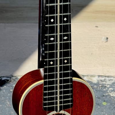 Martin Style 3 Ukulele 1925 - a stunning Satin finished early | Reverb