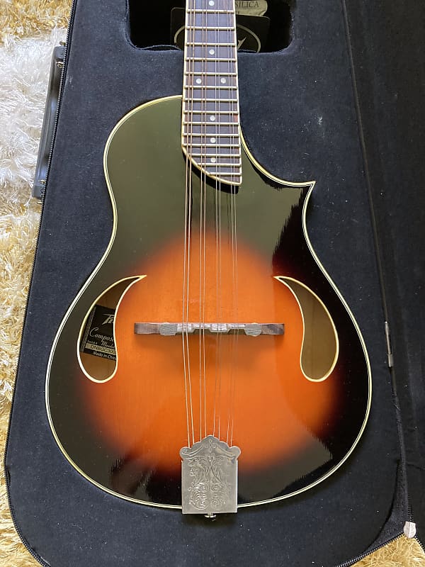 Peavey Composer AM Mandolin with original case + extras | Reverb