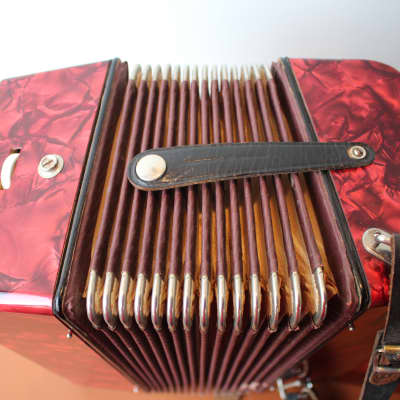Argus 25-Key 12-Bass mini piano accordion - Red | Reverb