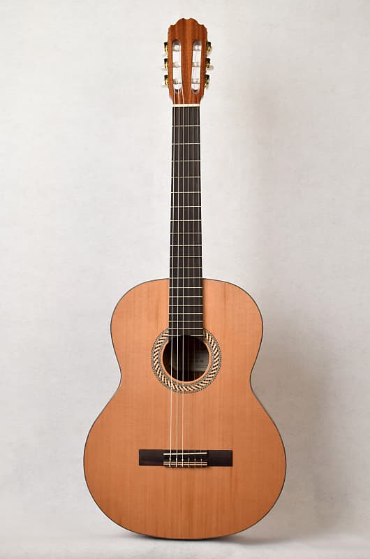 Kremona Soloist S65C | Reverb