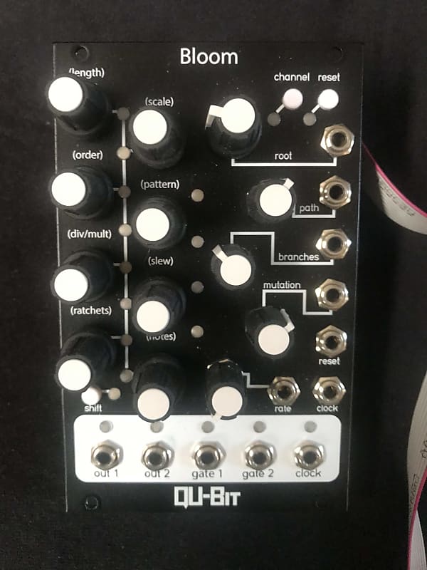 Qu-Bit Electronix Bloom Black | Reverb