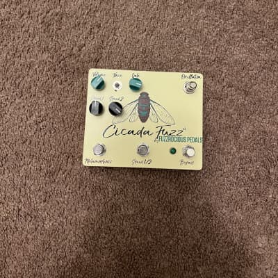Fuzzrocious Cicada Fuzz V4 2018 Cream | Reverb