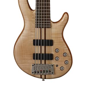 Cort Artisan Series A6 6-String Electric Bass, Open Pore | Reverb